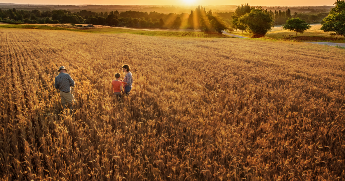 AFM Real Estate | Family Land: A Guide to Multi-Generational Land…
