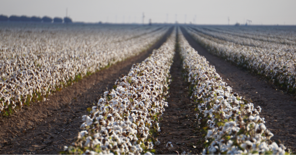 AFM Real Estate | Farmland Trends: 2024 Insights and 2025 Outlook