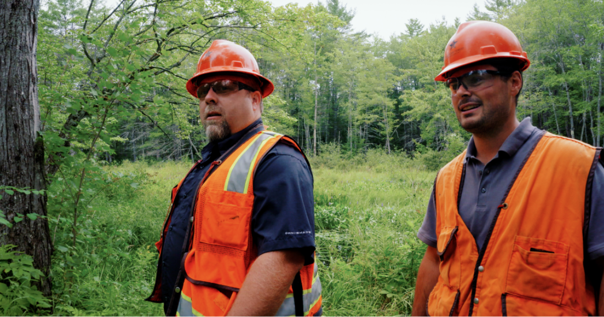 AFM Real Estate | The Versatile Vest: How Foresters Use Their Tools…