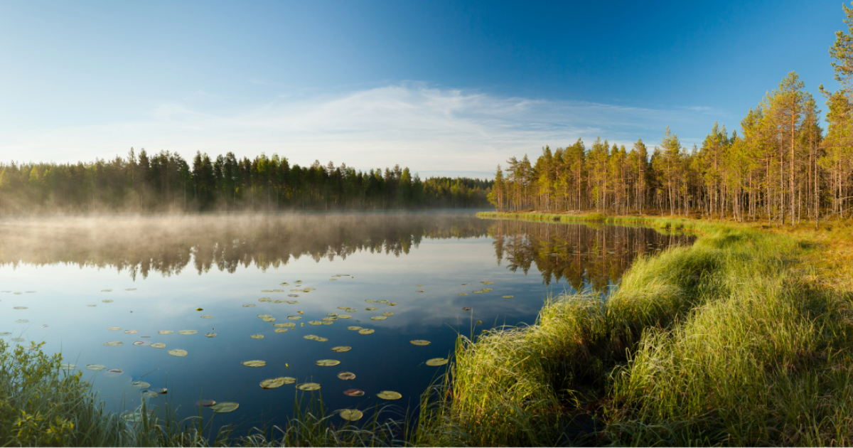 AFM Real Estate | What is the value of water features on my property?