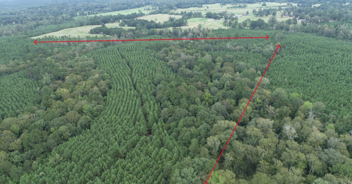 AFM Real Estate | Ener Plantation | AFM Real Estate