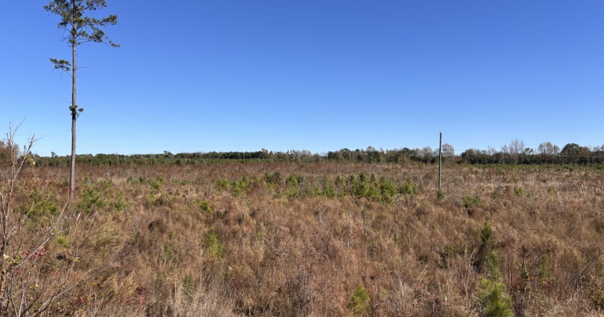 AFM Real Estate | Fair Acres | AFM Real Estate