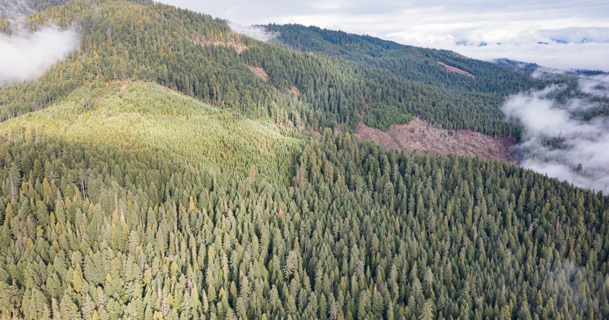 AFM Real Estate | Upper Rogue West | AFM Real Estate