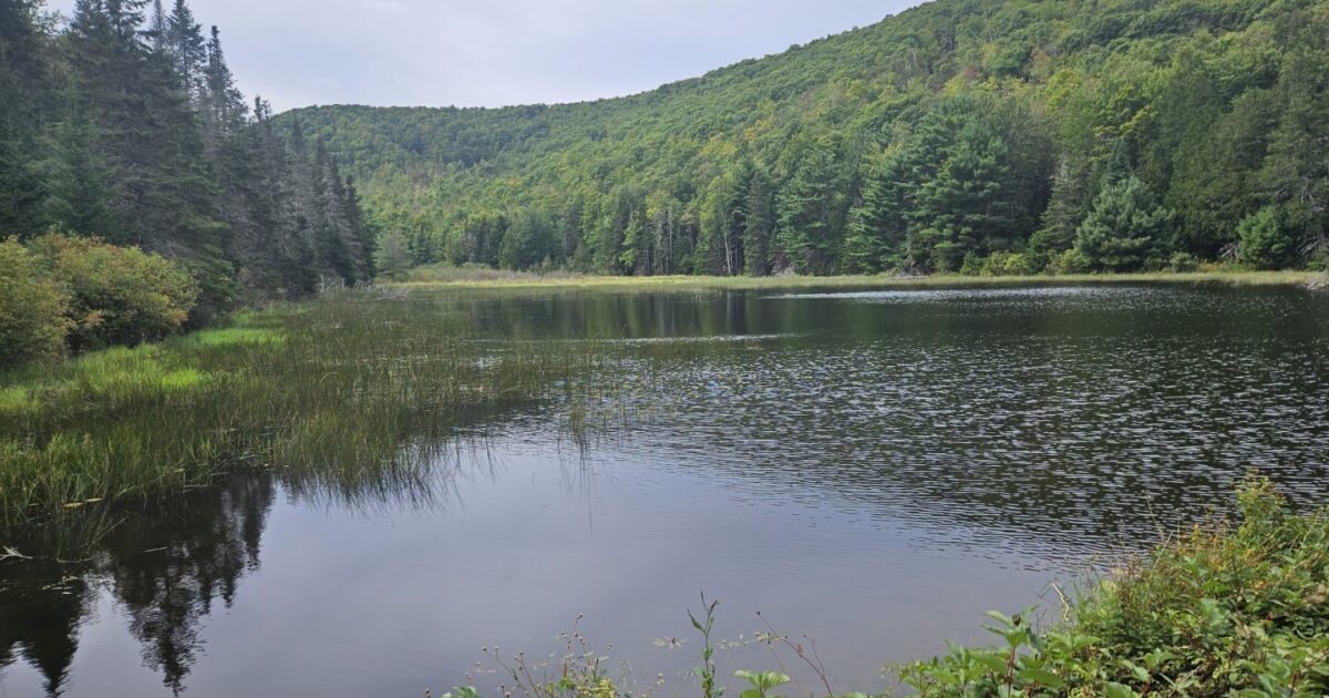 AFM Real Estate | Dixmont, Map 5-Lot 1 Garland & Nason Hill Roads…