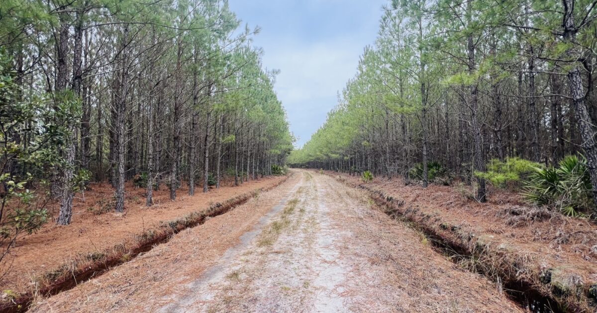 AFM Real Estate | Broadhurst Tract | AFM Real Estate